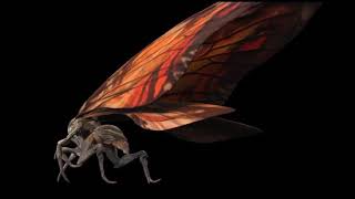 Anguirus Showa Vs Mothra Monsterverse Spacebattles