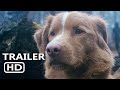 Good Boy Official Trailer 2025 Horror Movie Hd Rapid Trailer Mp3 Music ...