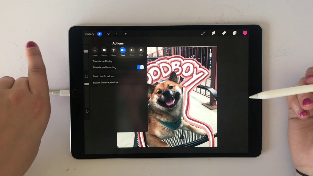 Procreate Tutorial Timelapse Replay Youtube