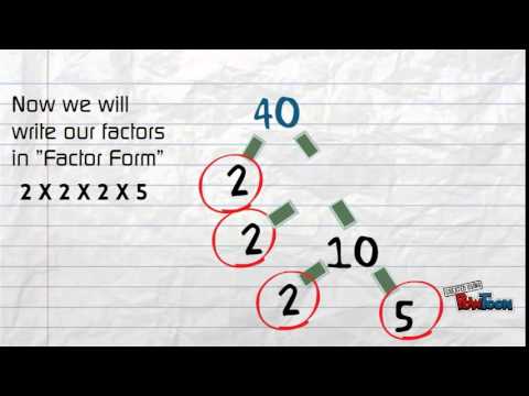 Prime Factorization Youtube