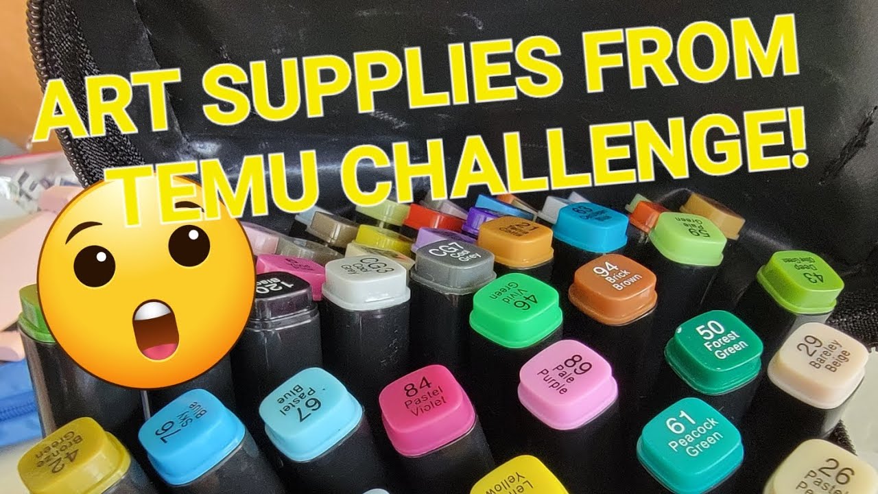 Art Supplies From Temu Challenge Review Youtube