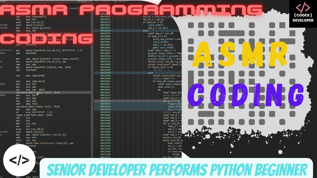 Asmr Programming Coding Senior Developer Performs Python Beginner A