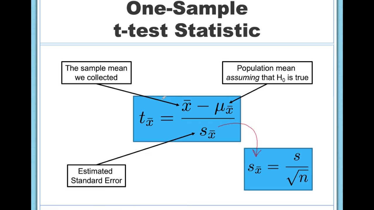 One Sample T Test What Are T Tests A Guide To Analyzing Survey