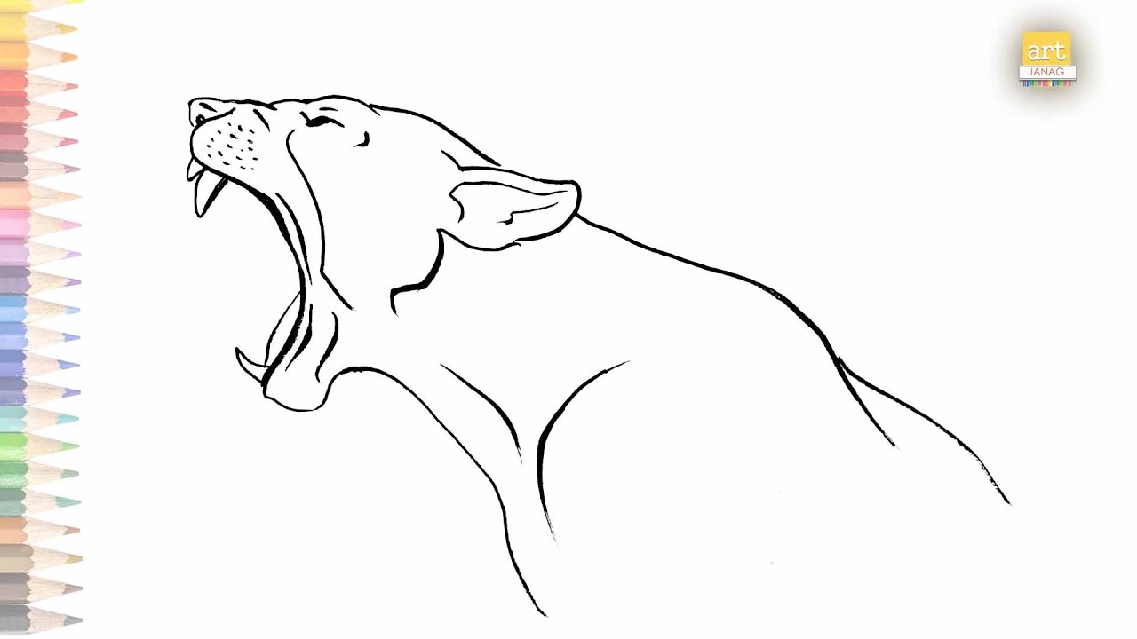 Panther Drawing Step Step