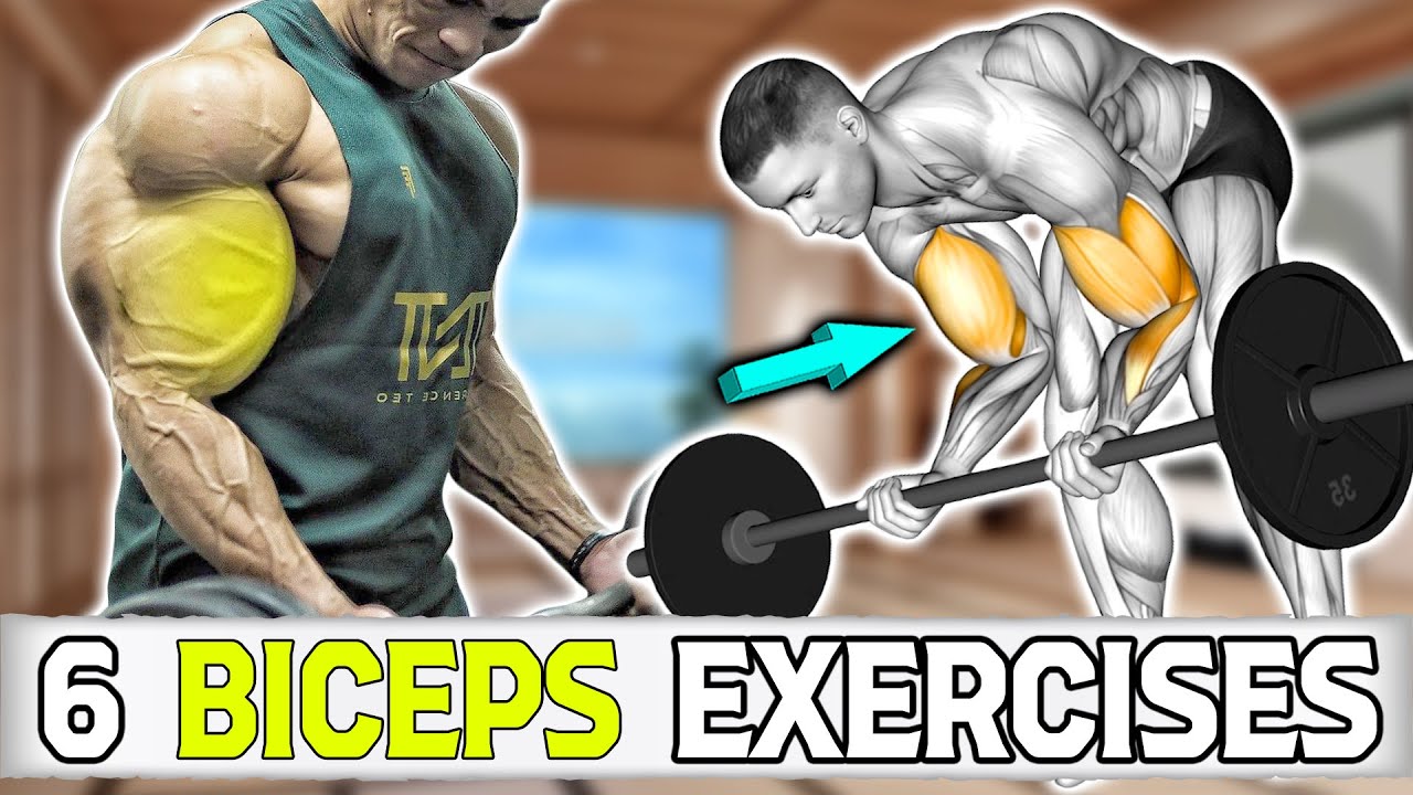 6 Fastest Huge Biceps Workout Best Exercises Youtube