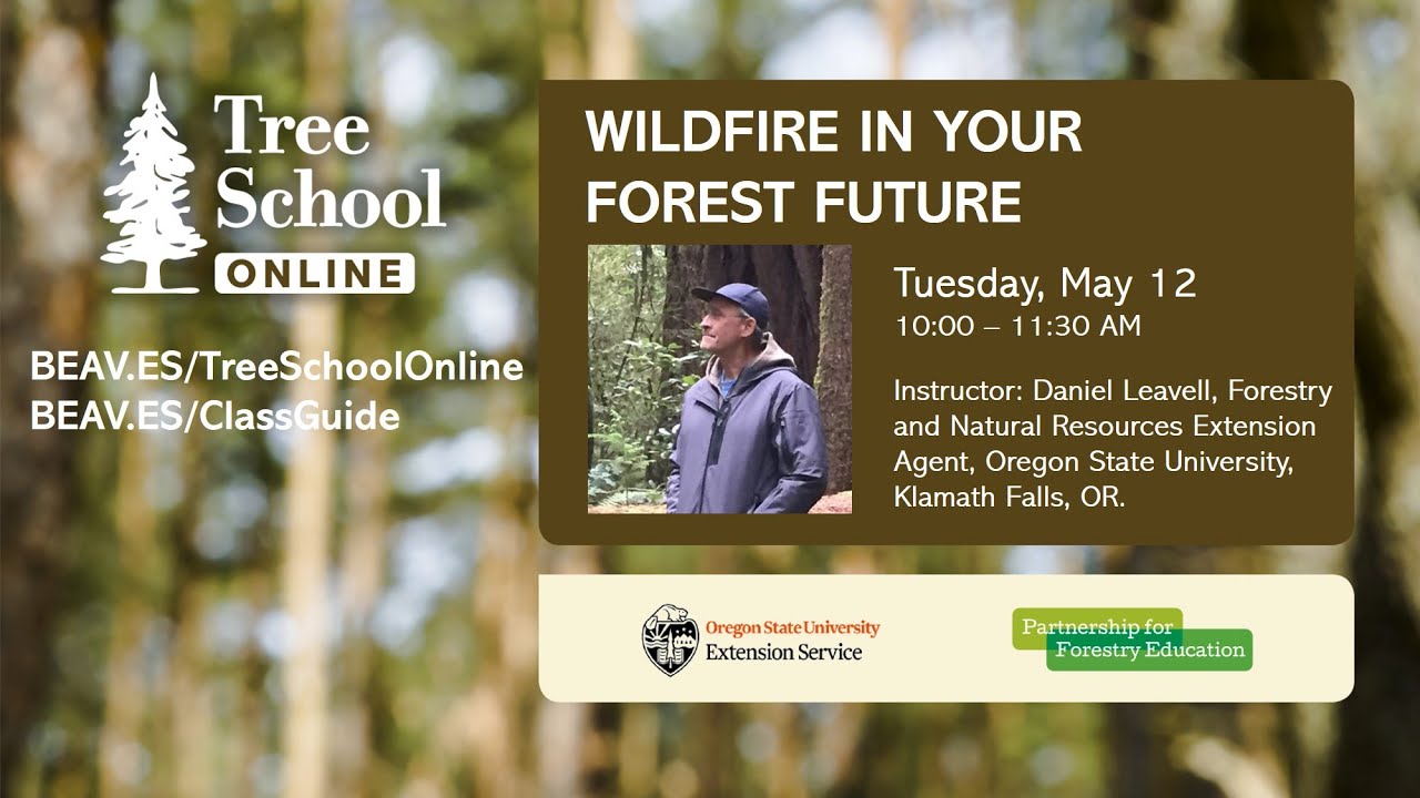 Tree School Online Wildfire In Your Forest Future Youtube