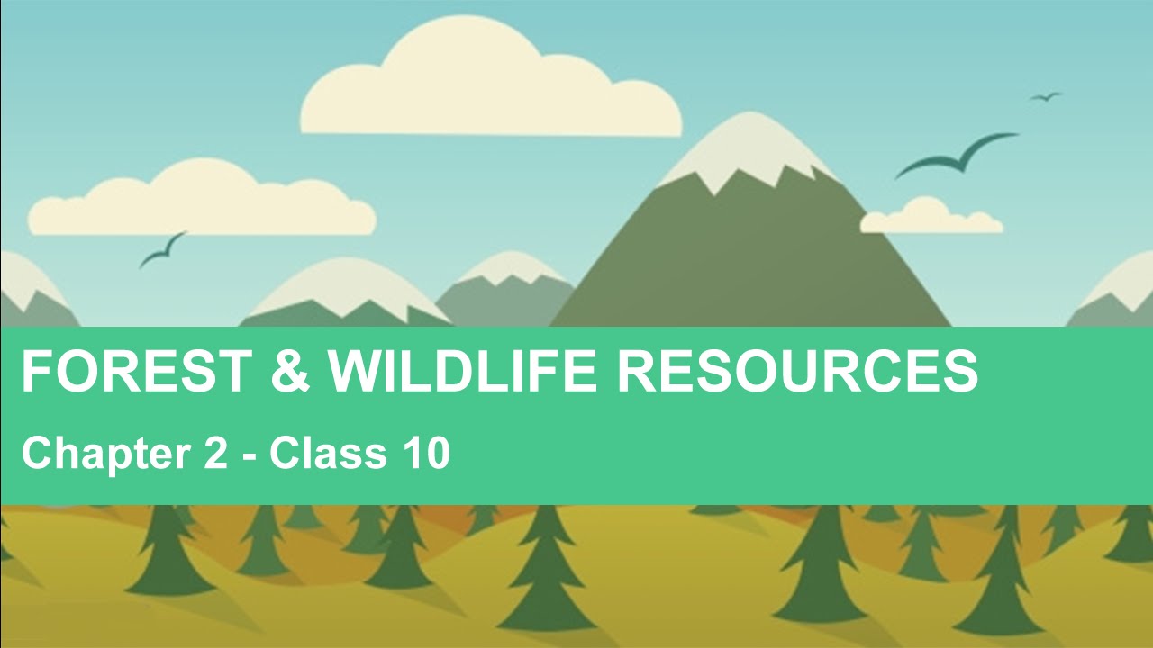 Forest And Wildlife Resources Chapter 2 Geography Ncert Class 10