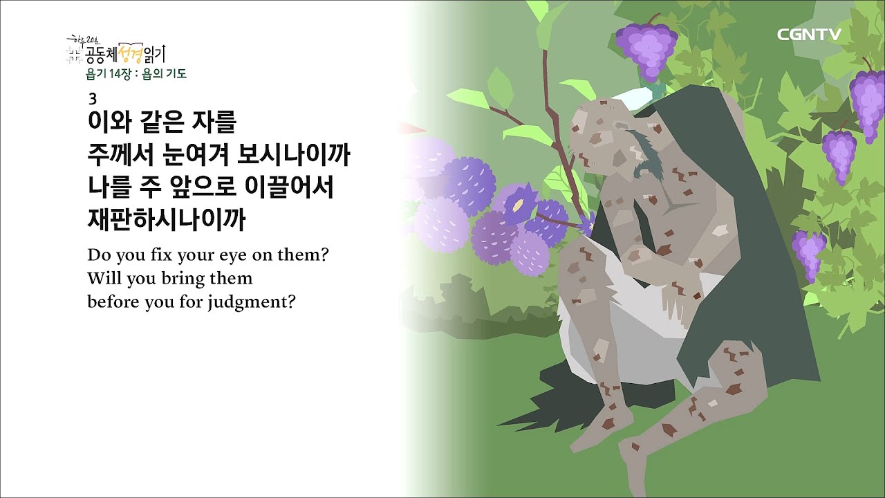 하루 20분 공동체성경읽기 6 11 욥기 11 15장 Youtube
