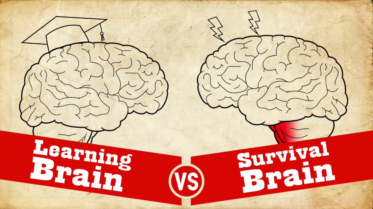 Understanding Trauma Learning Brain Vs Survival Brain Youtube