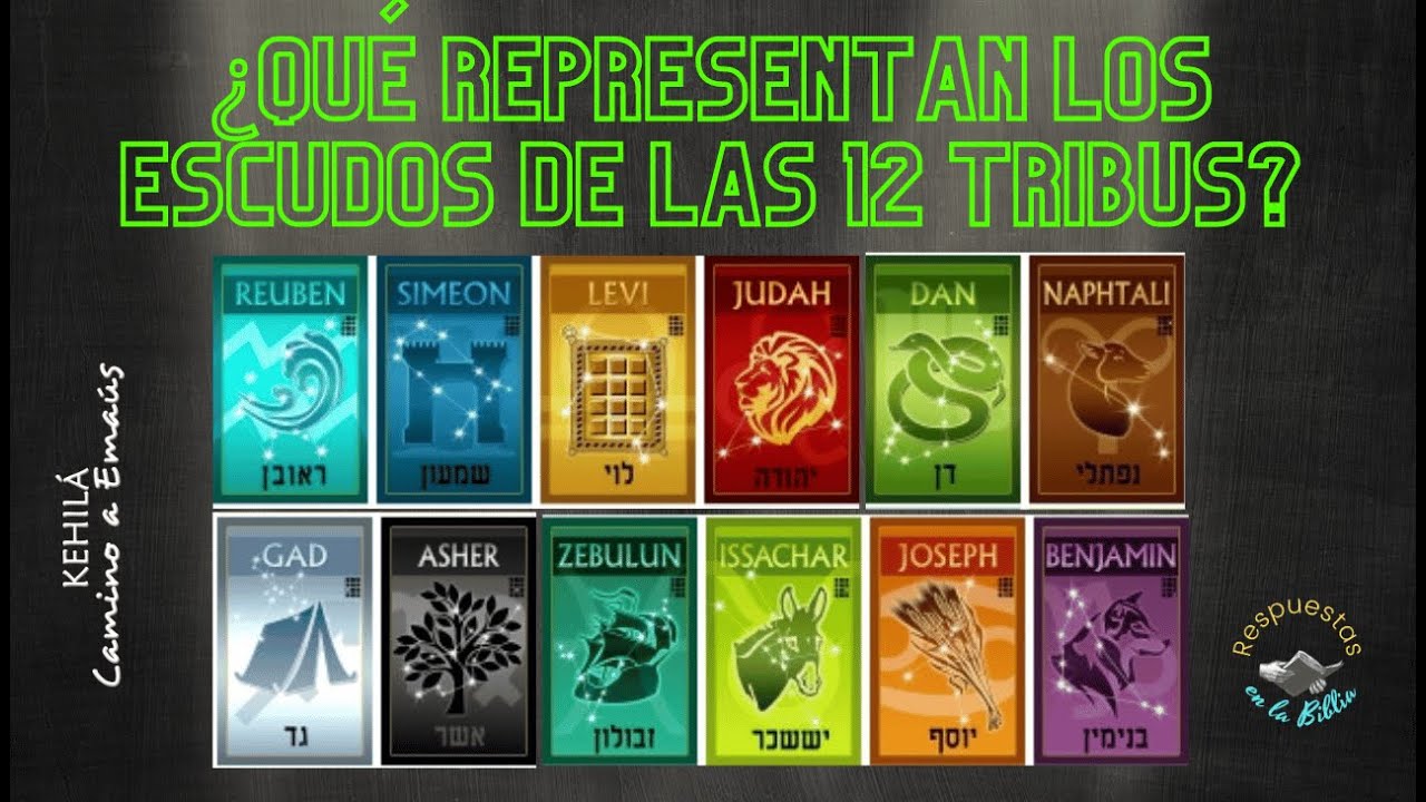 171 Qué Representan Los Escudos De Las 12 Tribus Respuestas En La