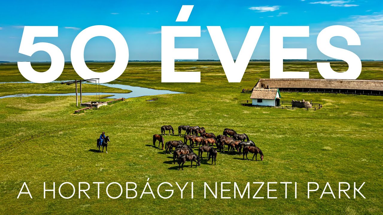 50 éves A Hortobágyi Nemzeti Park Youtube