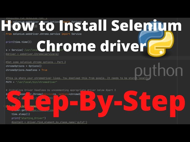 Chromedriver Storage