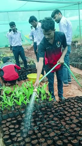 Horticulture Practical Activities At College Of Horticulture Hiriyur