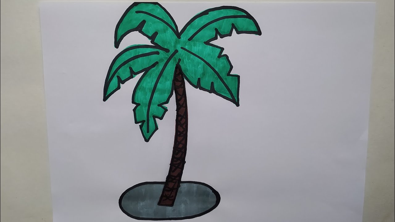 Rəsm Palma Ağacı Necə çəkilir How To Draw Palm Youtube