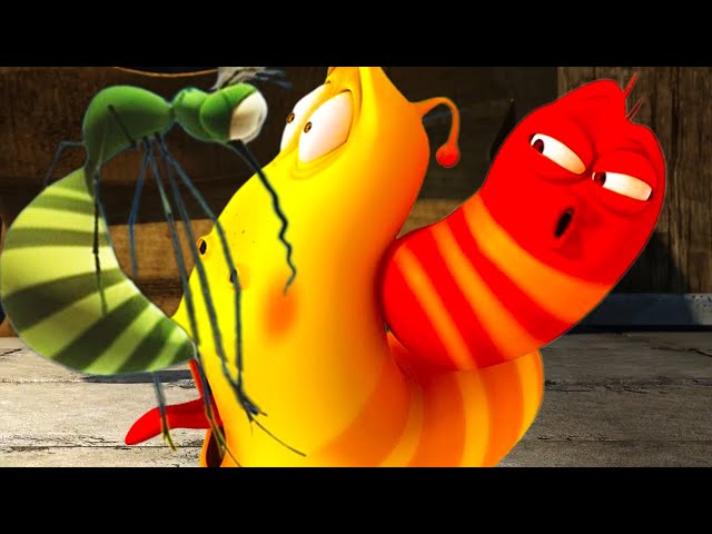 Mosquito Attack Larva Cartoons For Kids Wildbrain Kids Videos