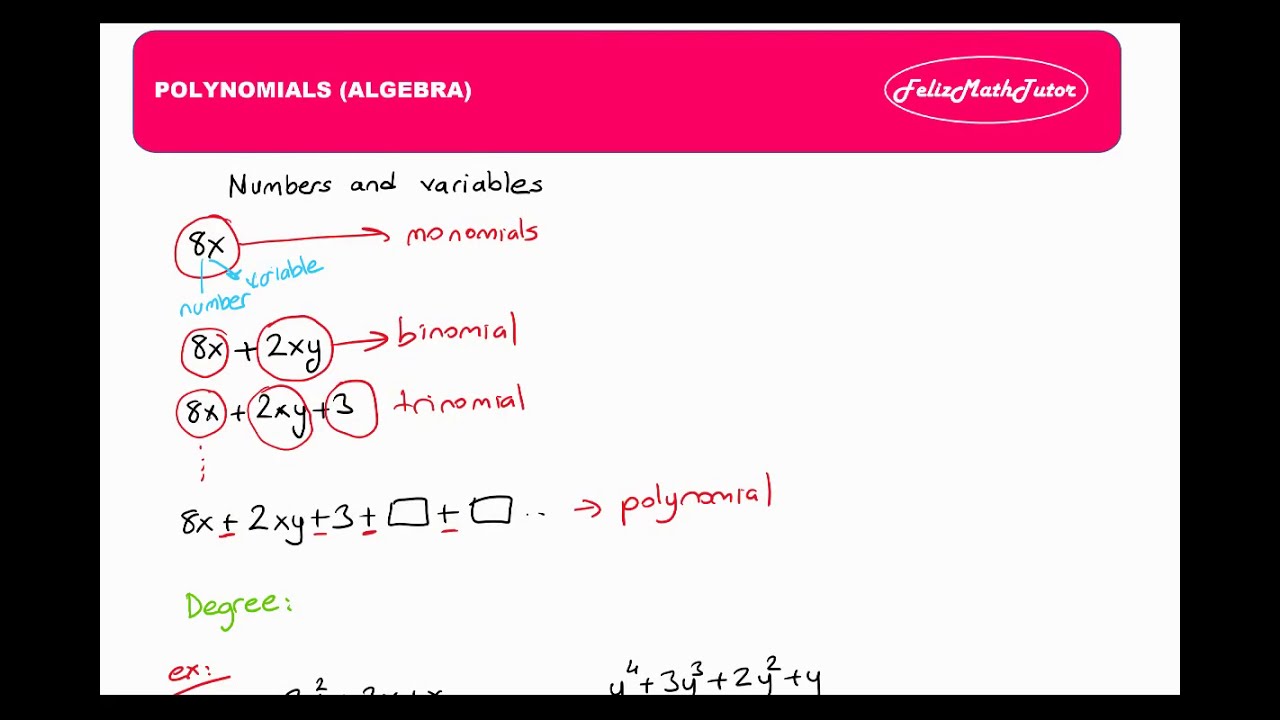 Polynomials Youtube