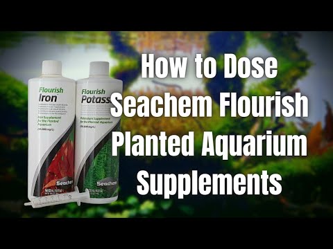 How To Dose Seachem Flourish Planted Aquarium Supplements They Work