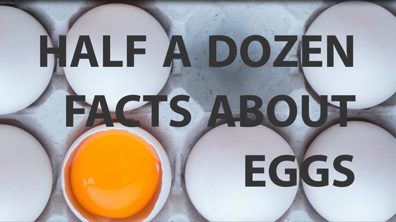 A Half Dozen Facts About Eggs Youtube