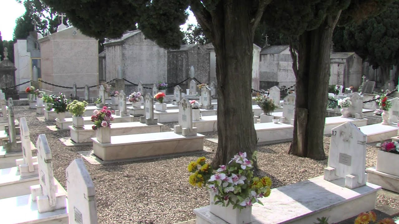Val Do Rio Reportagem Roubo No Cemitério De Oeiras Youtube