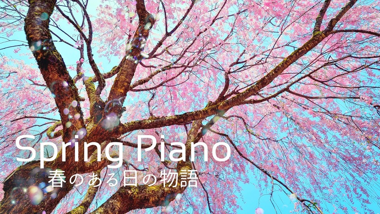 Relaxing Bgm Heartwarming Spring Piano Music Crying Piano Music