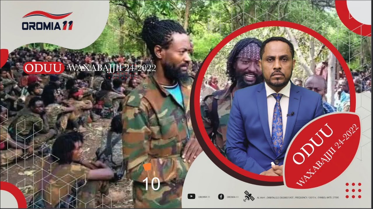 Oromia11 Oduu 6 24 2022 Youtube