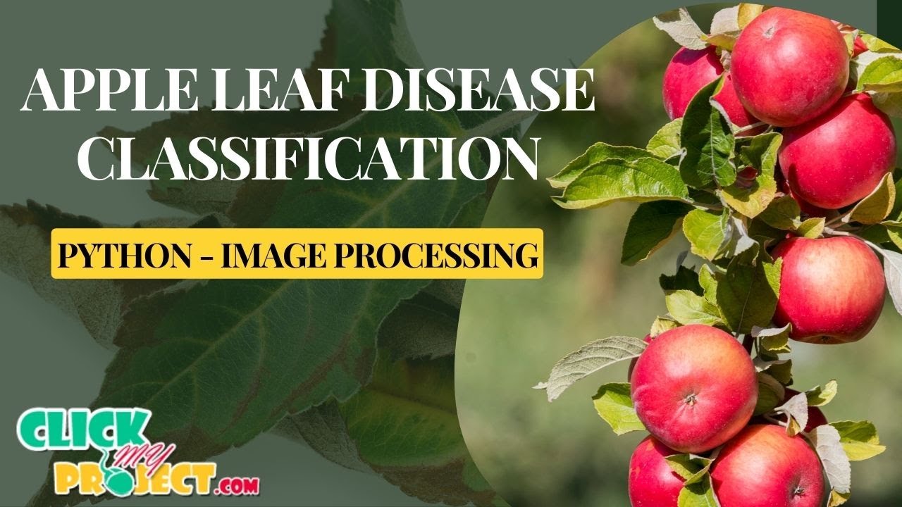 Python Image Processing Project Apple Leaf Disease Classification