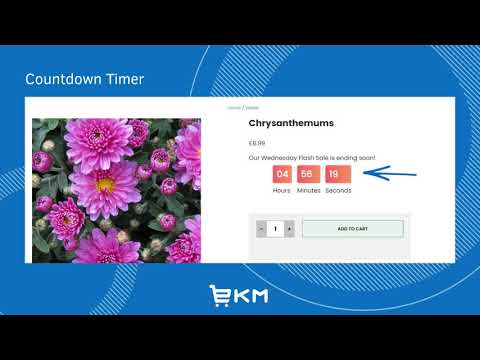 Ecommerce Website Countdown Timer Cart Reservation Timer And Low