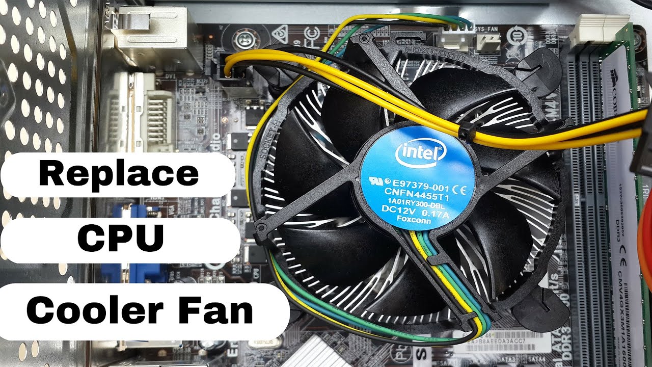Intel Cpu Cooler Fan Replacement In Stock Www Pinnaxis