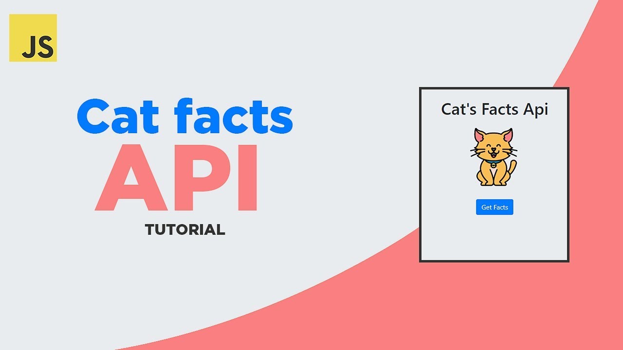 Javascript Api Tutorial Cat Facts App With Fetch Api рџђ 2020 Youtube