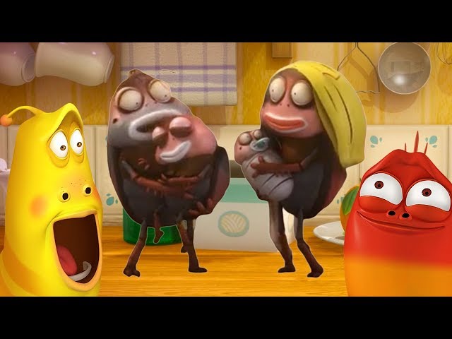 Larva Brown S New Family Cartoons For Children Larva Official