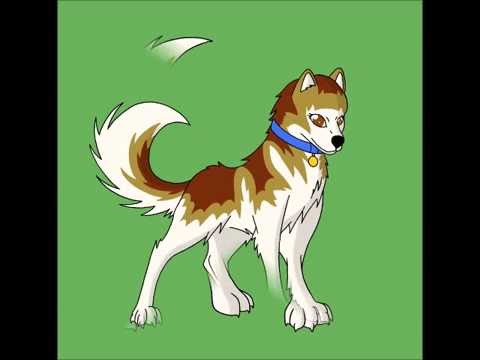 Dog Wolf Tfs Sequence 1 Youtube