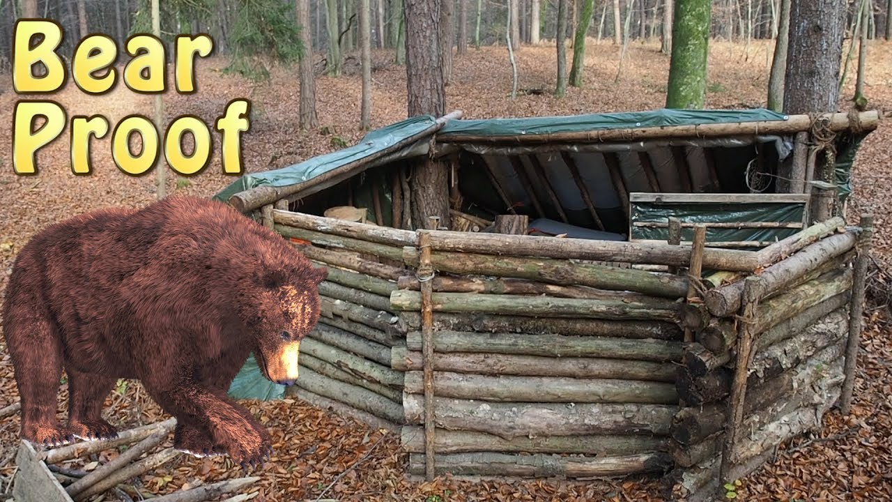 How To Protect Your Camp From Bears Youtube