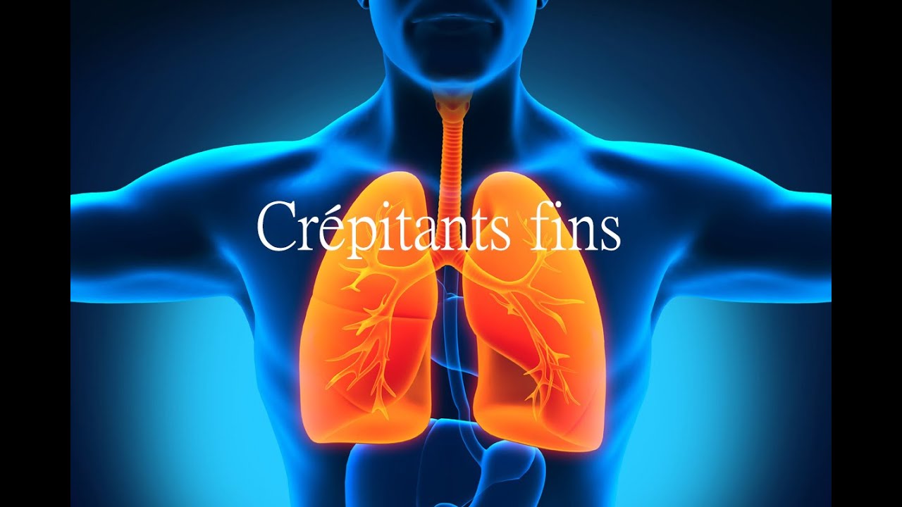 Crépitants Fins Youtube