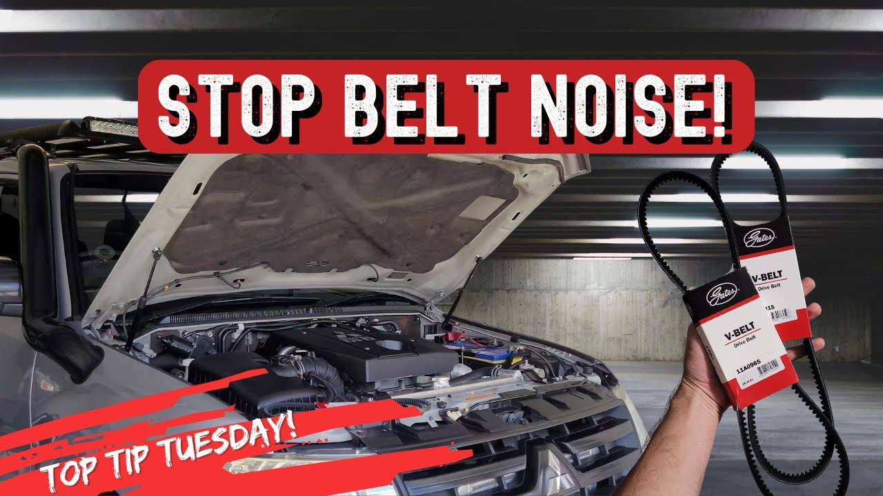 Noise In Drive Belt At Daniel Chavez Blog