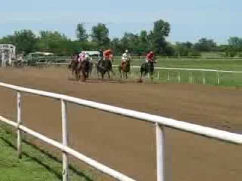 Eureka Downs Horse Racing Youtube