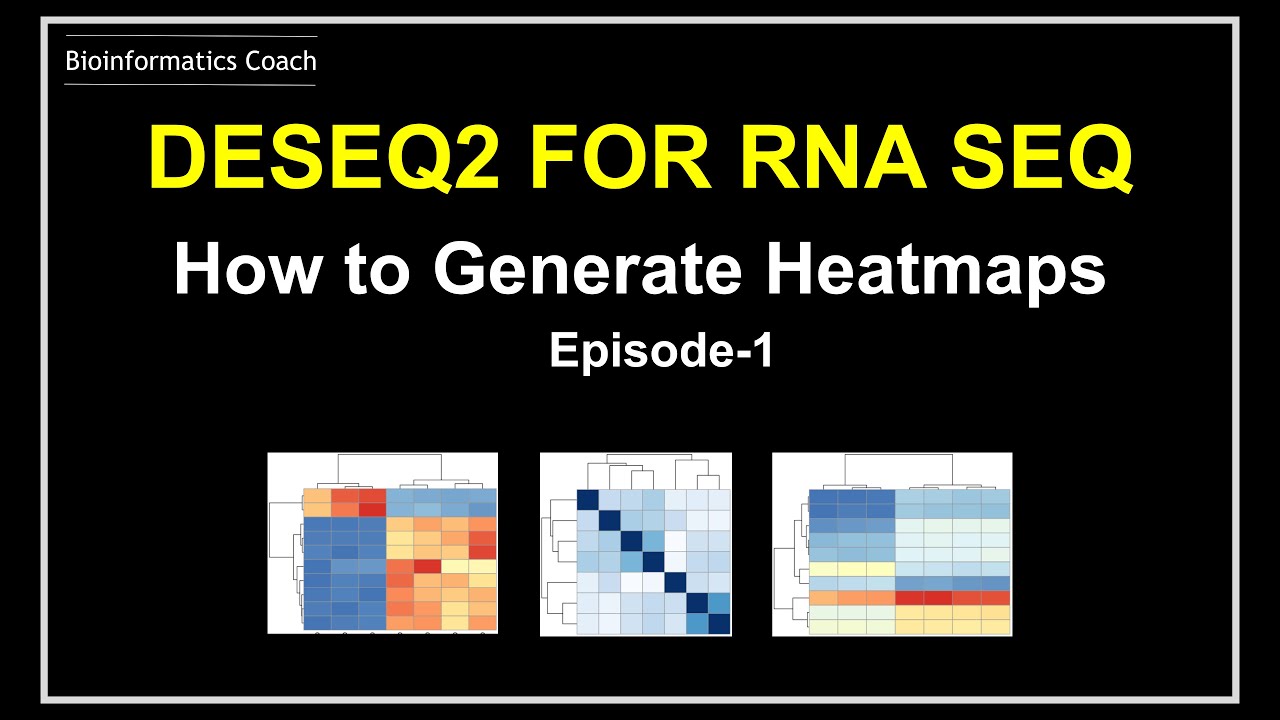Rna Seq Deseq Tutorial Visualization Heatmaps Youtube