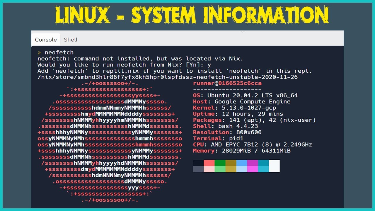 Linux Commands For Viewing System Information