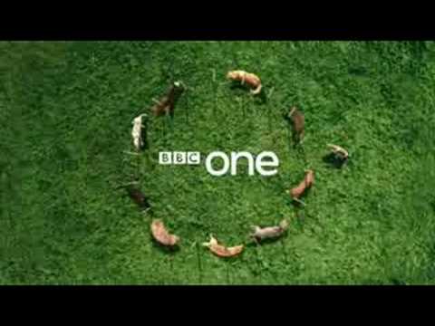 BBC One - Magical Forest Ident - VidoEmo - Emotional Video Unity