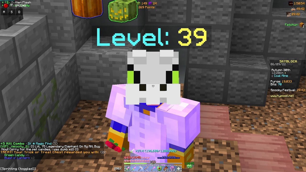 Hypixel Skyblock Youtube