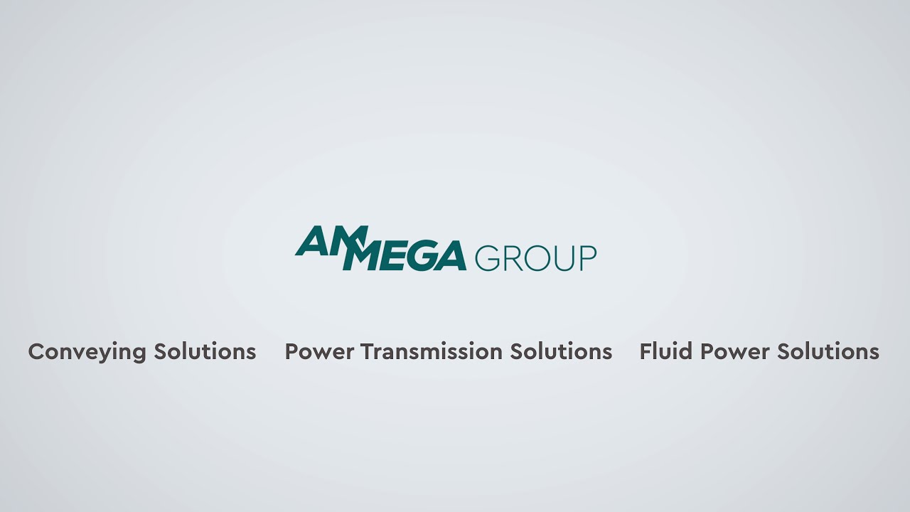Ammega Group Company Video Youtube