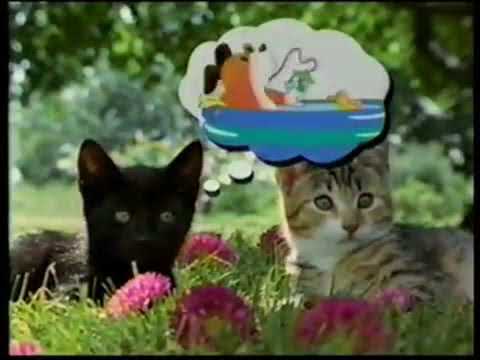 Nick Jr Coming Up Next Bumper Cats 1 Franklin Kipper Youtube