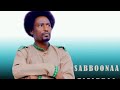 Sirba Hara Bara 2026 Mp3 Music & Mp4 video downloads