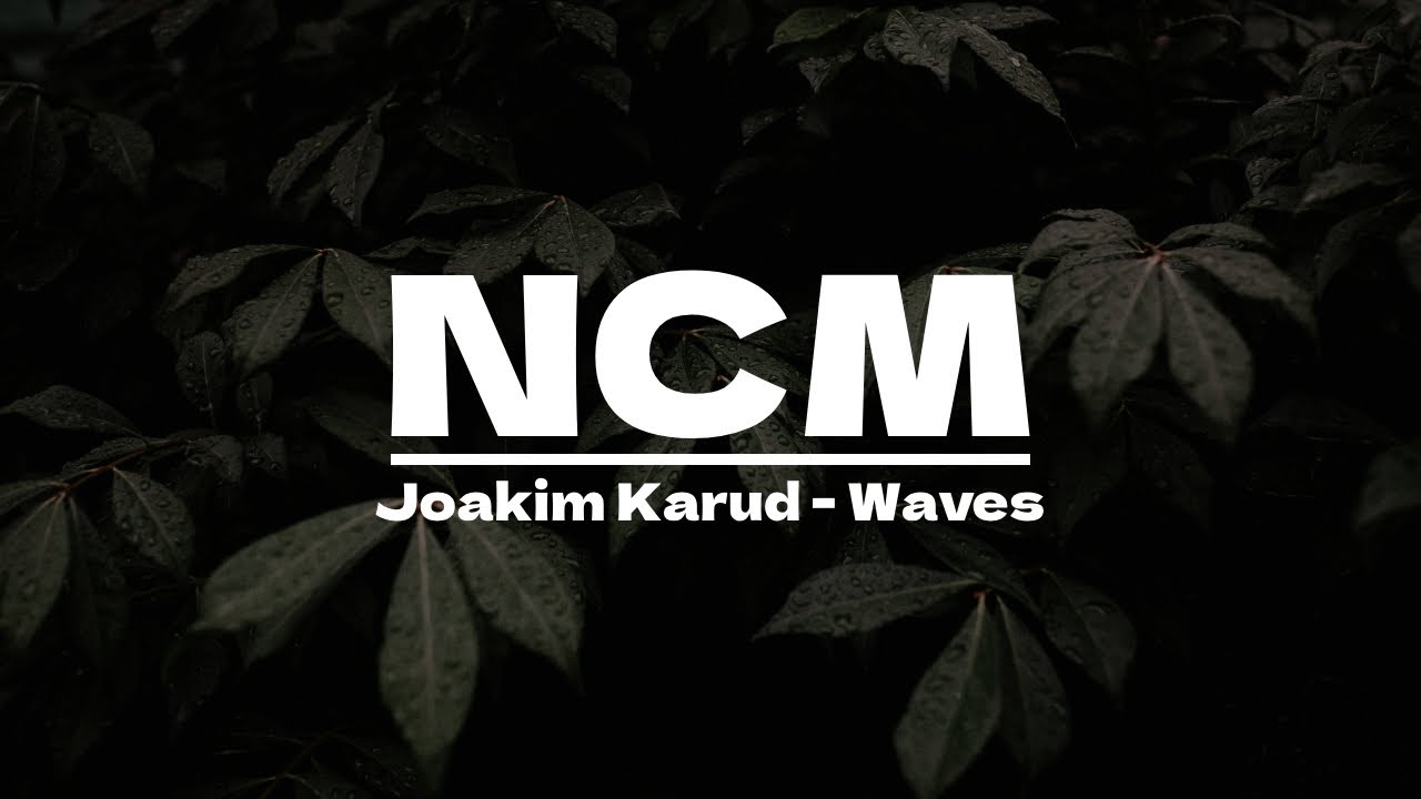 Copyright Free Music Joakim Karud Waves Vlog No Copyright Music