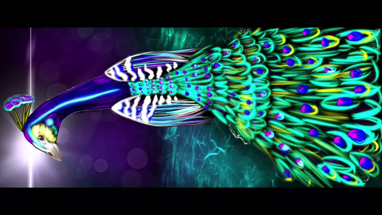 Speedpaint Peacock First Ever Speedpaint Youtube