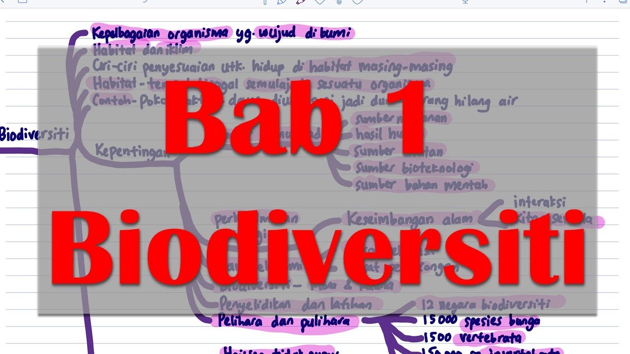 Sains Pt3 T2 Bab 1 Biodiversiti Youtube
