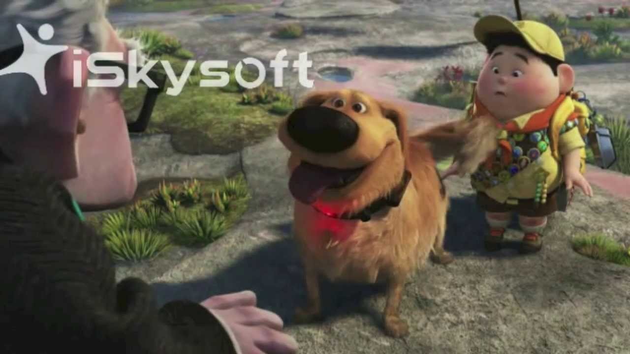 Best Of Dug From Up Youtube