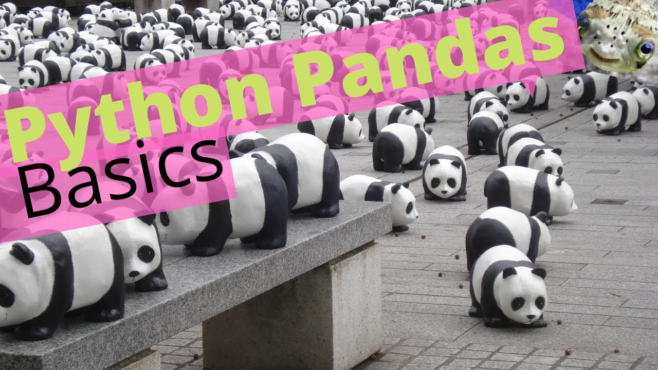 How To Tutorial Python Pandas Basics Youtube