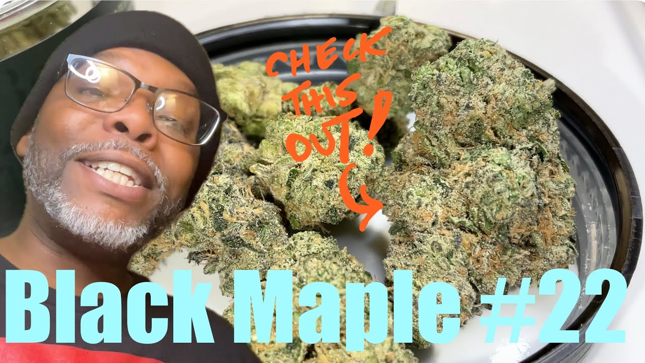 Goodbud Cannabis Reviews Episode 26 Black Maple 22 From Good Green