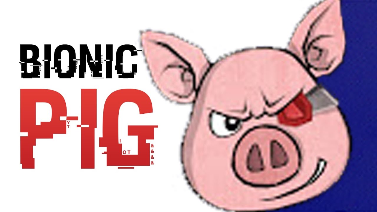 Bionicpig Distorted Youtube