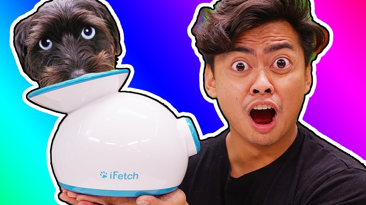 Trying Dog Gadgets You Never Knew About Youtube